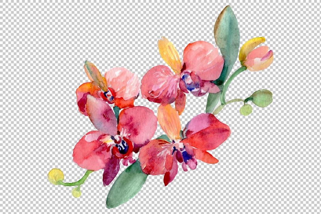 Bouquet of flowers Queen of love watercolor PNG – WatercolorPNG