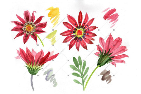 Watercolor Flower royalty free Clipart and images for your next creati ...